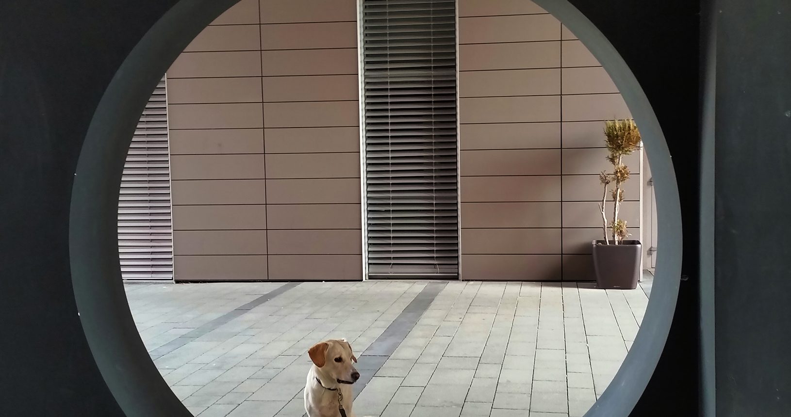 Fotoklub Zagreb – s Vama od 1892.